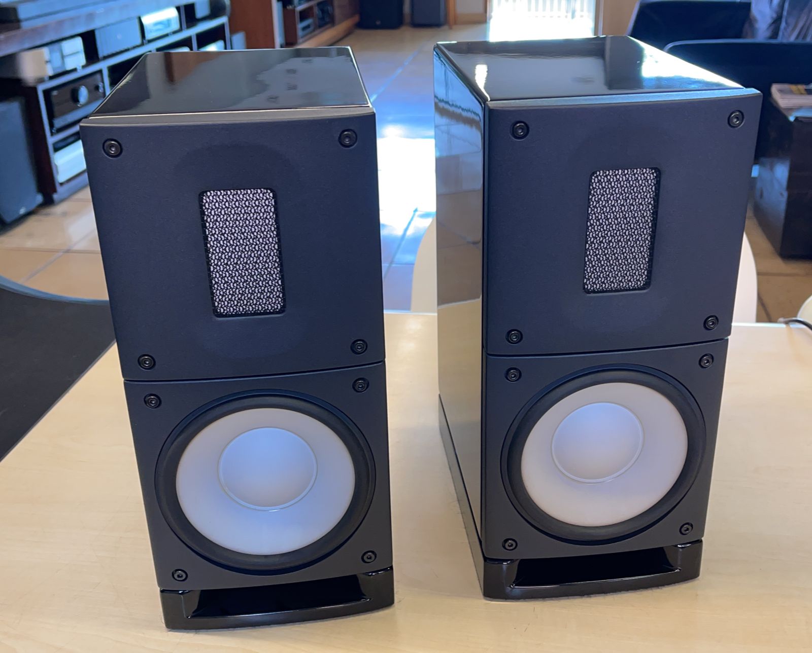 RAIDHO ACOUSTICS X-1 Compact Monitor - Loja HIFICLUB